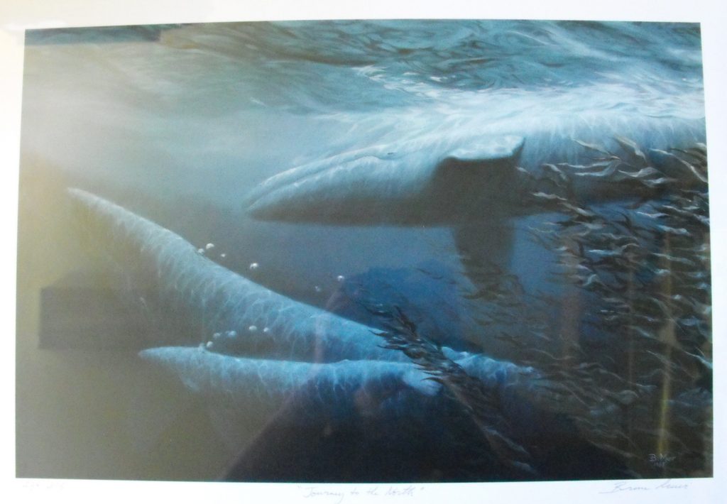 Bruce Muir - Sa-Cinn Native Enterprises